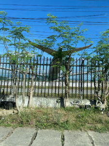 大韓航空のKE631がセブ空港をオーバーラン。フライトのスケジュールに変更があります！